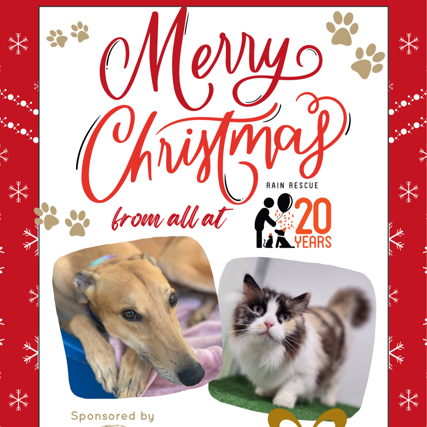 Christmas Is Coming - RainRescue