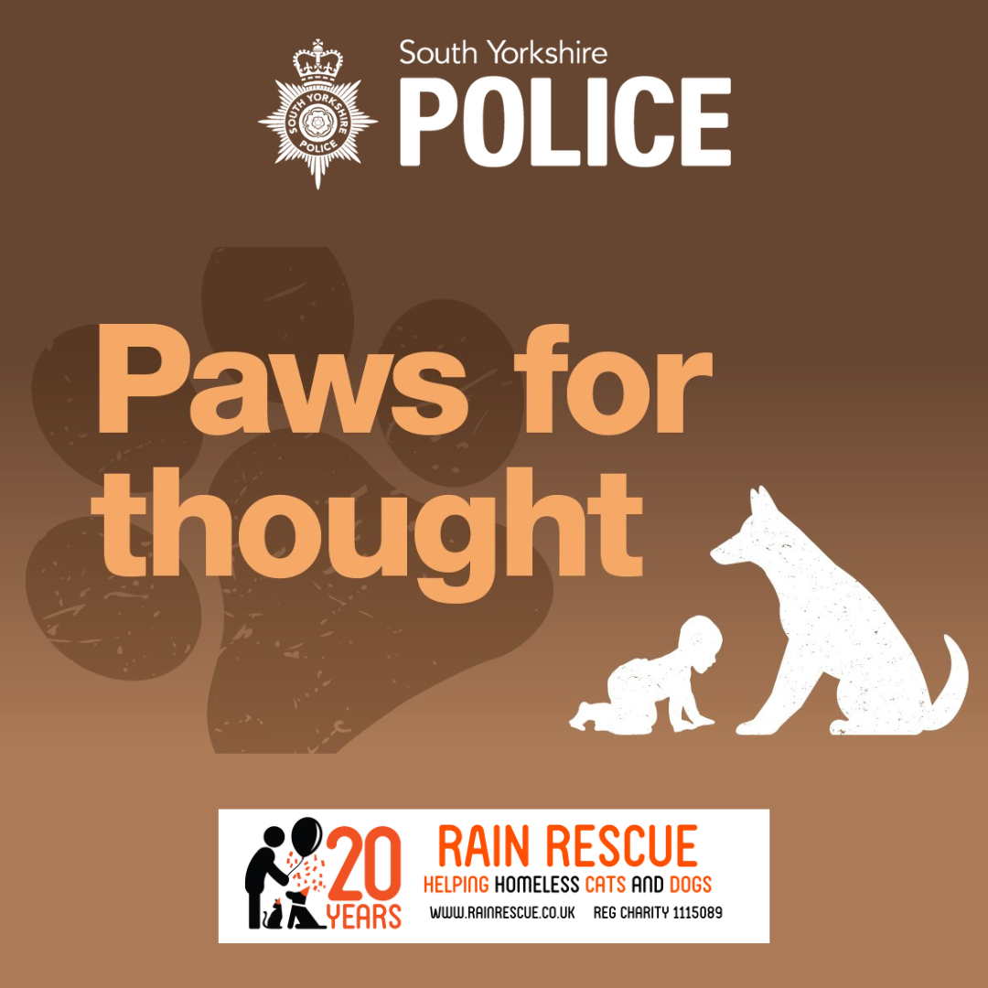 Promoting Safe & Responsible Dog Adoption - RainRescue