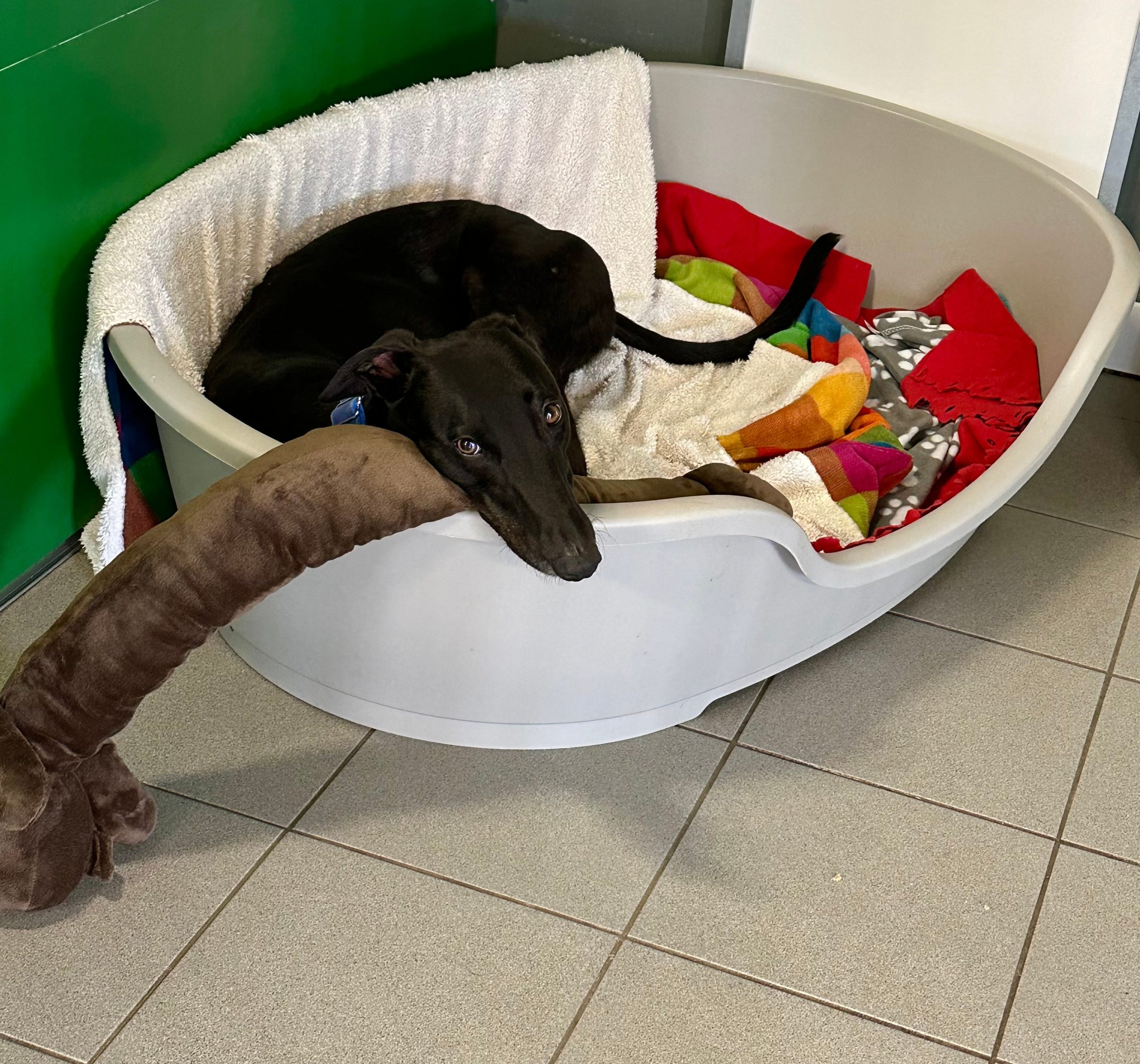 Are You Part Of The Club? - RainRescue