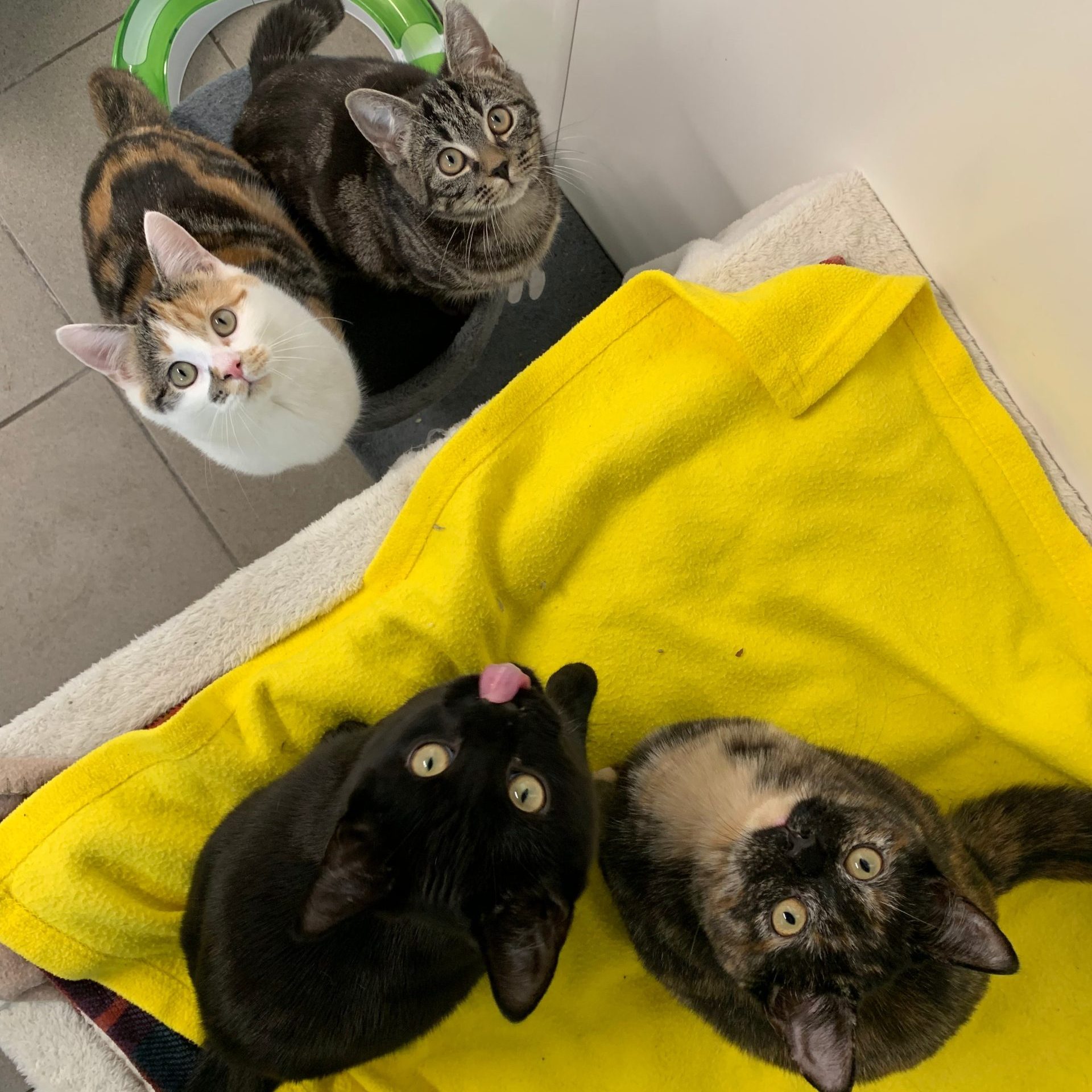 A Miracle Has Happened - RainRescue