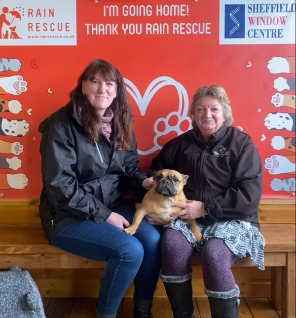 Rescuing Animals - About Us - RainRescue