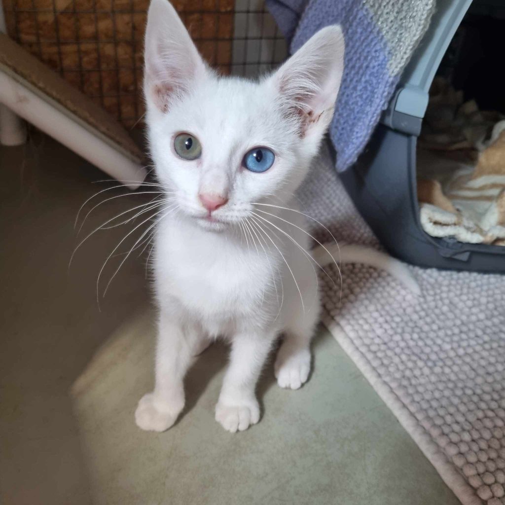 Shop Home - RainRescue