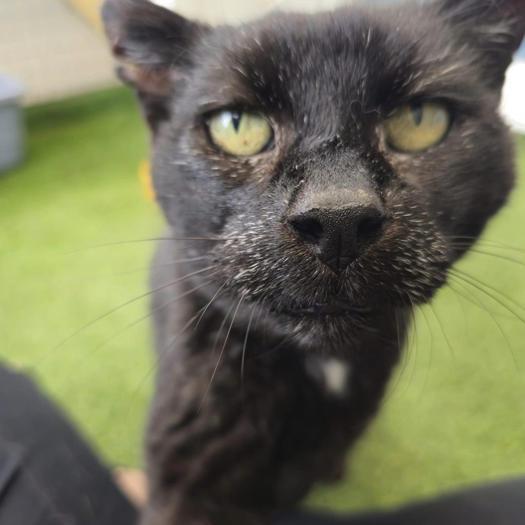 Eric- 15 Year Old Male - RainRescue