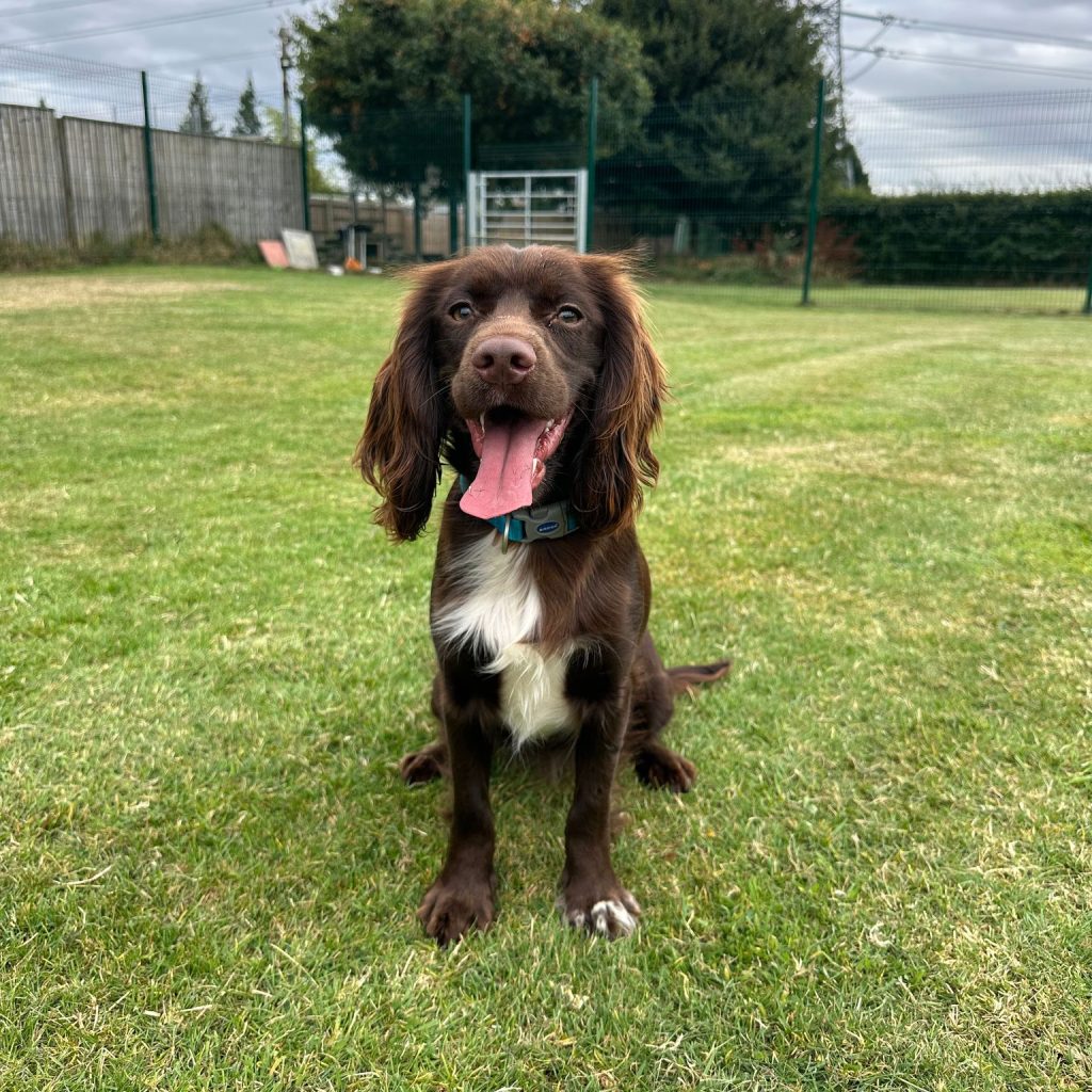 Shop Home - RainRescue