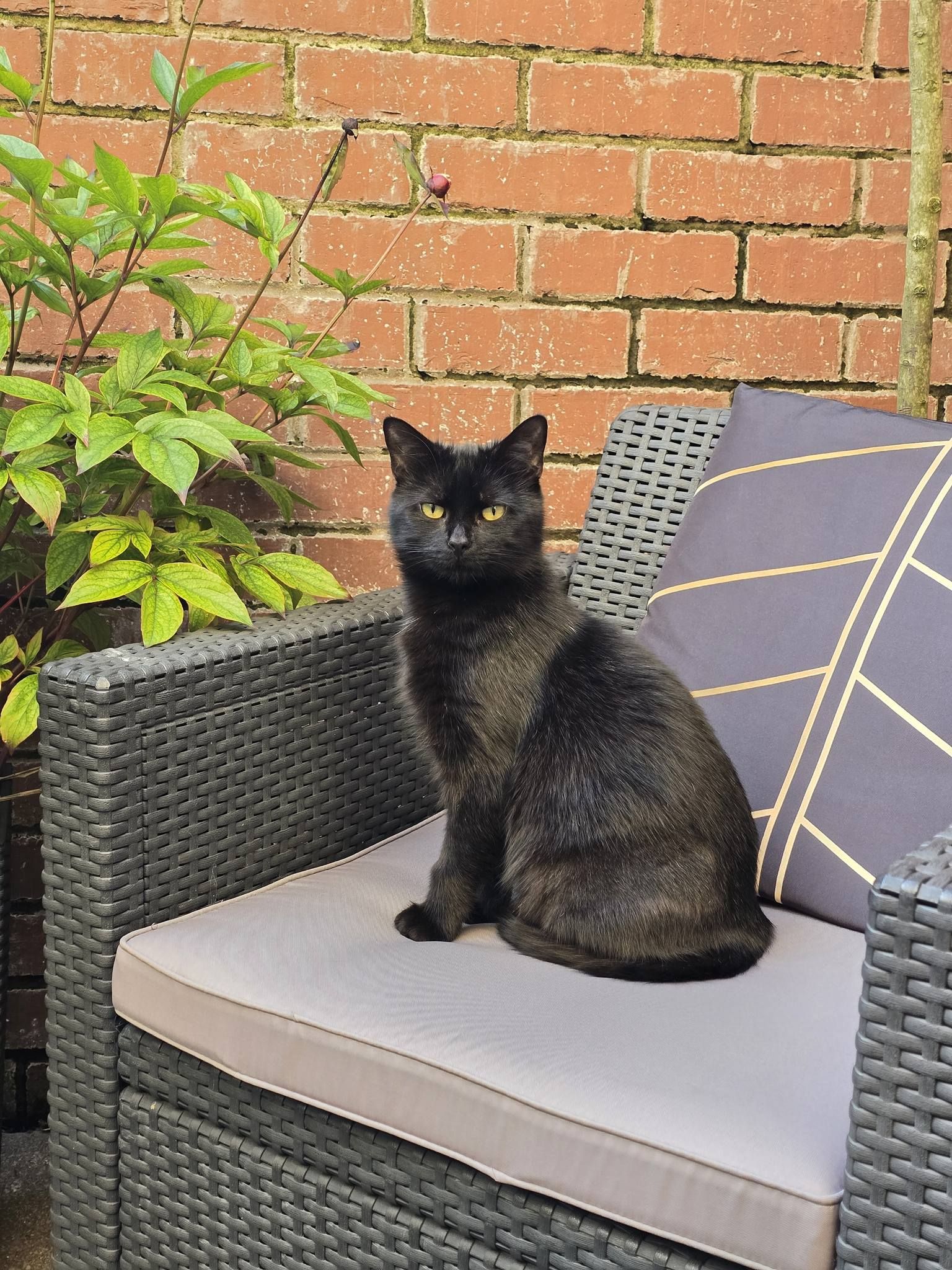 Sunday Snuggles - RainRescue