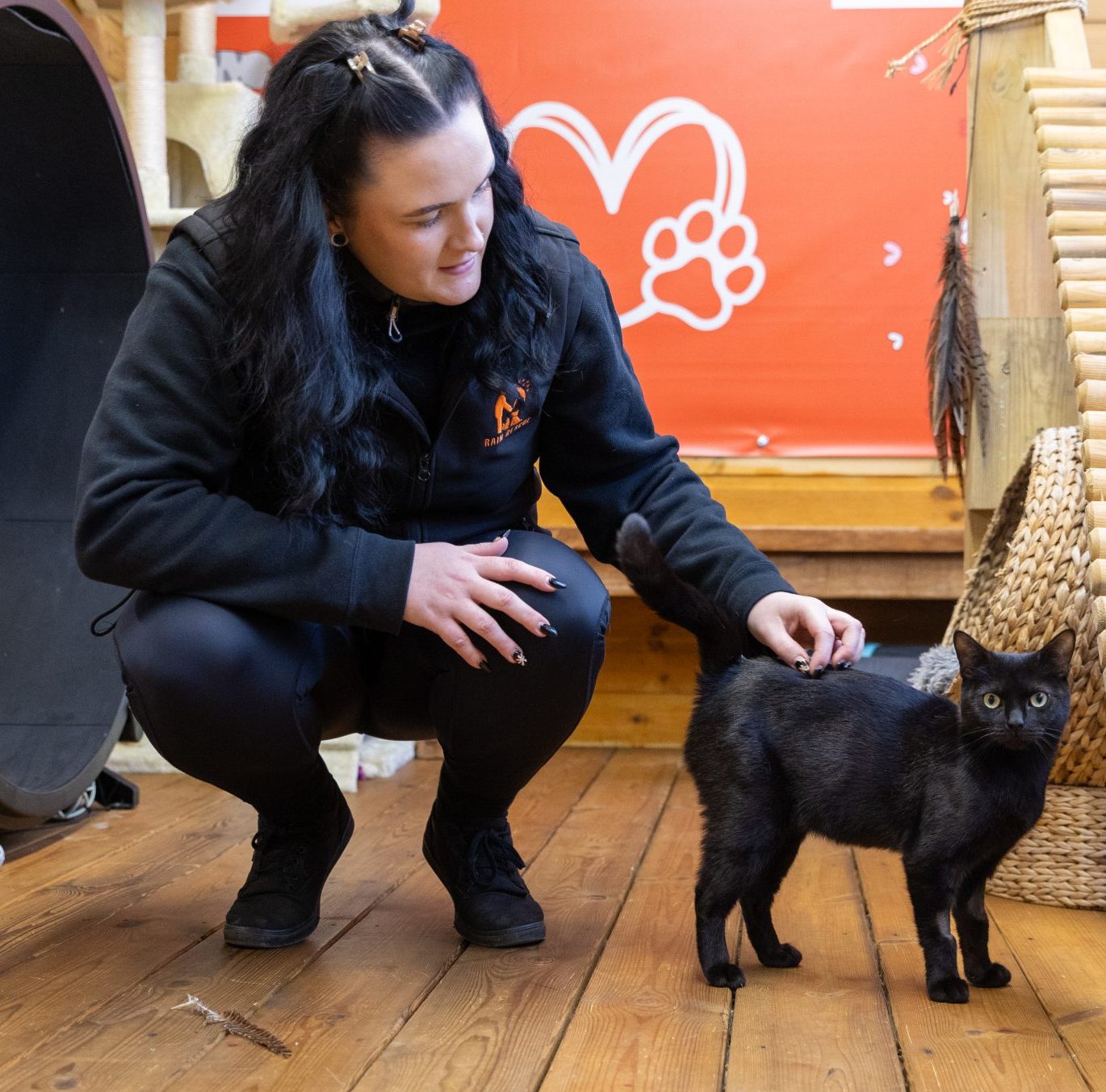 Buffy - 2 Year Old Female - RainRescue