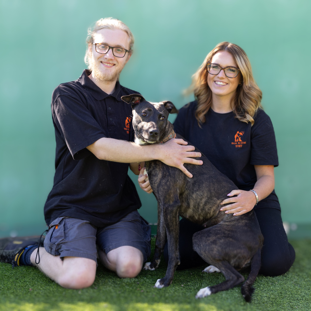 Thank You to Petplan Charitable Trust - RainRescue