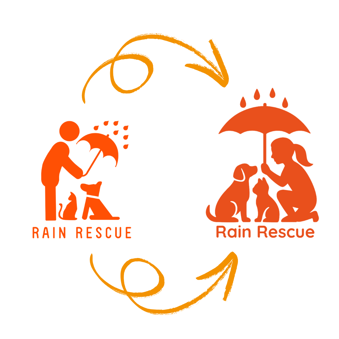 Rescuing Animals - About Us - RainRescue