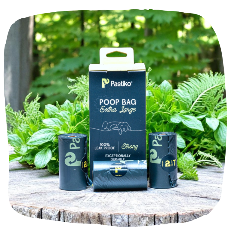 Rescuing Animals - About Us - RainRescue