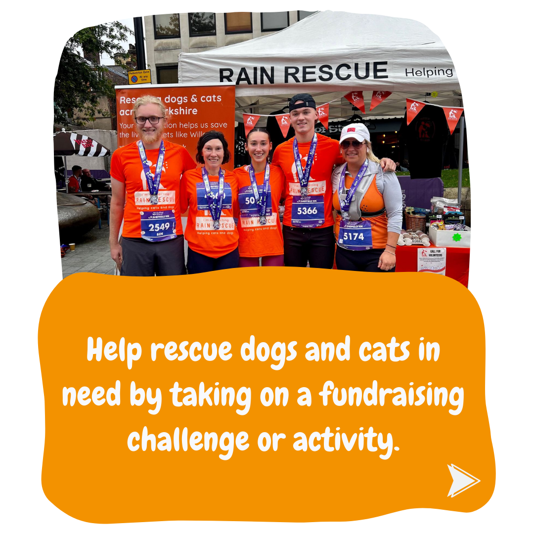 RainRescue - Animal Rescue Centre for Cats & Dogs - Home