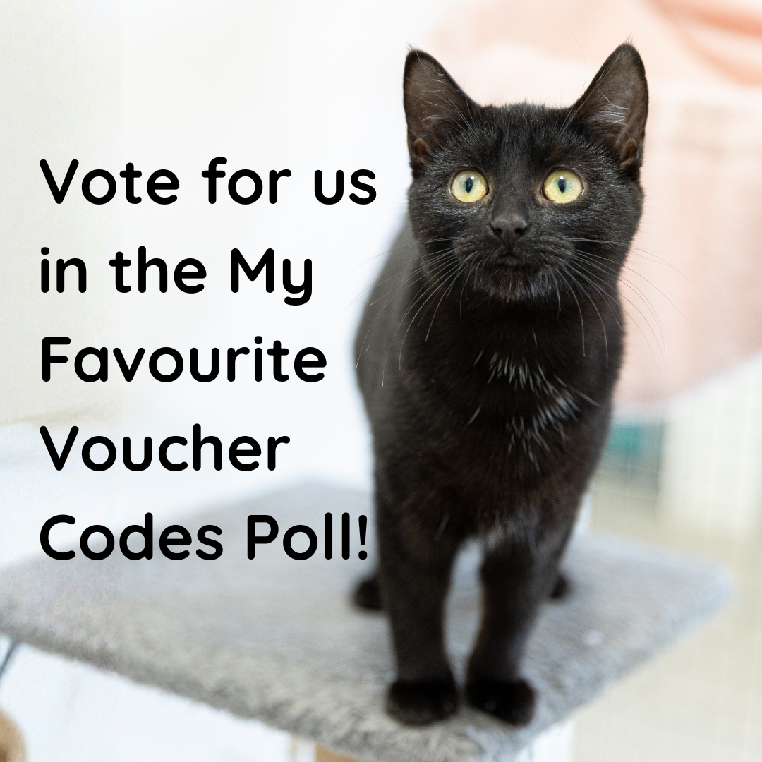 Vote for us in the My Favourite Voucher Codes Poll - RainRescue